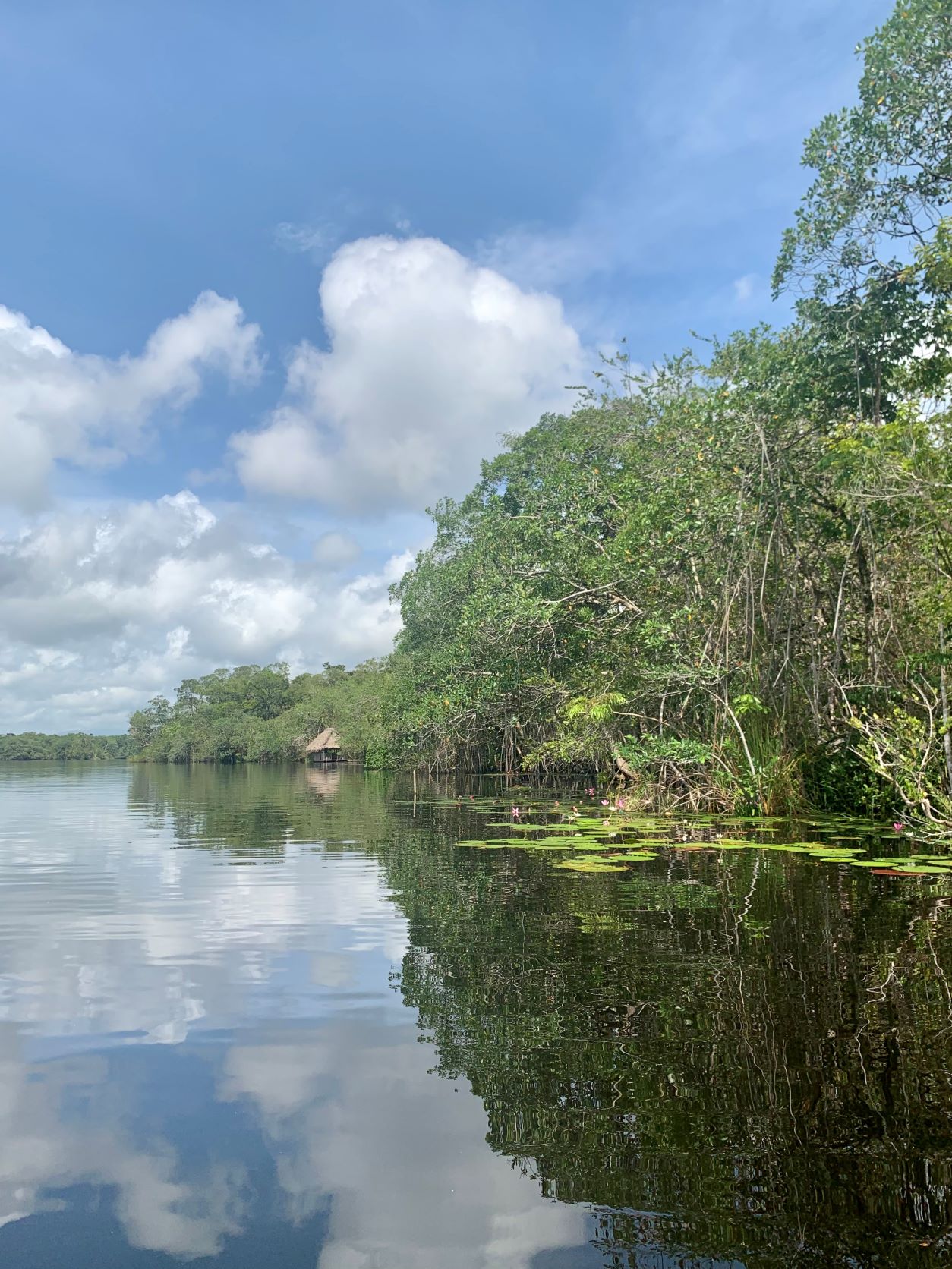 Que faire à Rio Dulce - Guatemala - Pauline Rbl